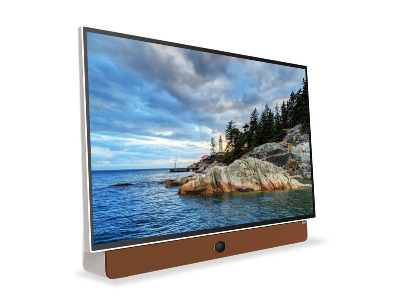 Skyworth 24" Companion P100 Portable LED Display with Google TV | The Brick