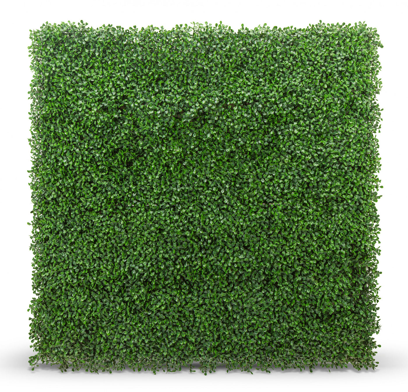 Artificial Boxwood 20"x 20" Foliage Panel 4 Pieces | The Brick