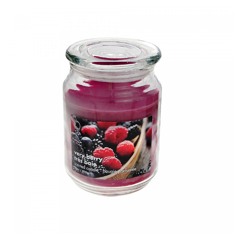18 Oz Scented Jar with Glass Lid Very Berry - Set of 2 Candle - The Brick