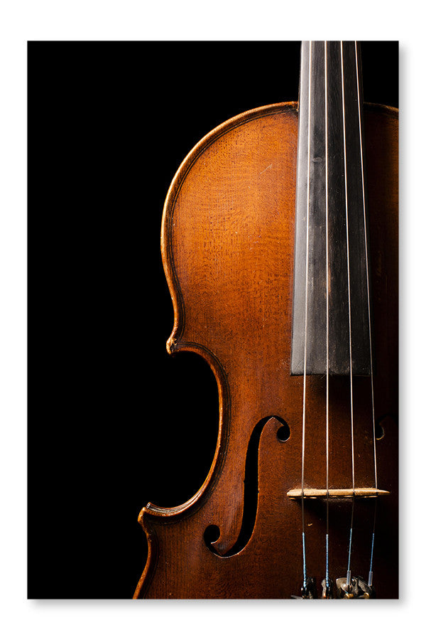 Violin Close Up 16x24 Wall Art Frame And Fabric Panel - The Brick