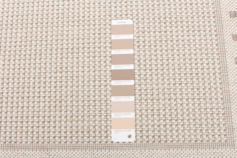 Clementine Ivory Area Rug - 2'2" X 6'7" | The Brick