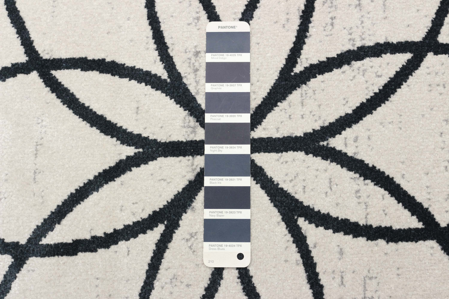 Terali Ivory Machine Washable Area Rug - 5'0" x 7'0" | The Brick