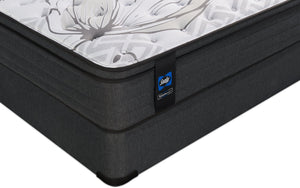 Matelas sealy posturepedic proback store